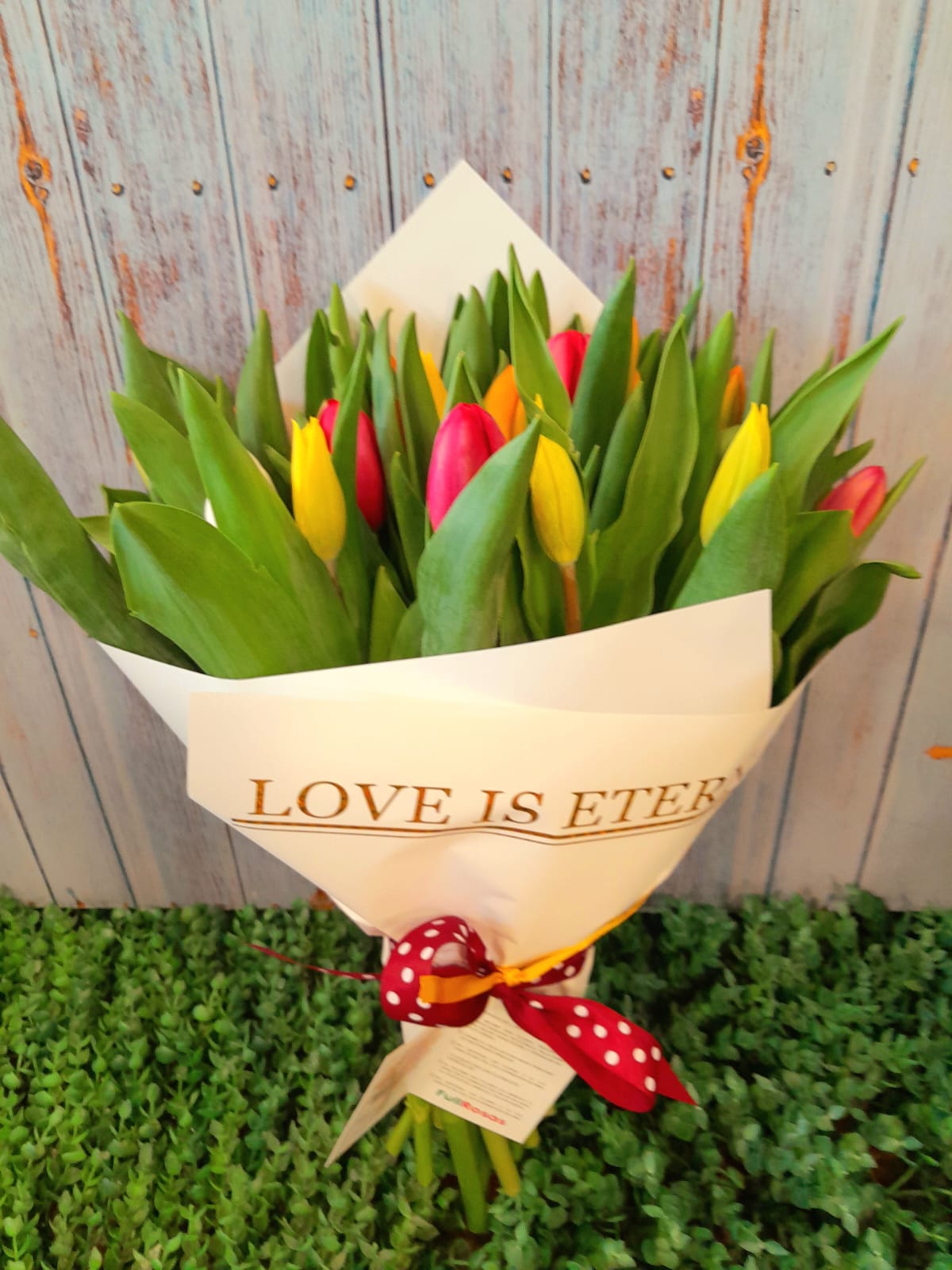 Gran ramo de 30 Tulipanes. !!!Super Oferta $75.900!!! COD:FB156 ...